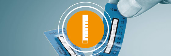 Temperature measuring strips