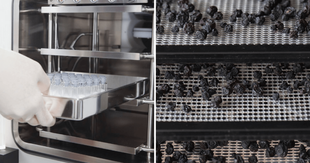 Data loggers for freeze-drying/lyophilization