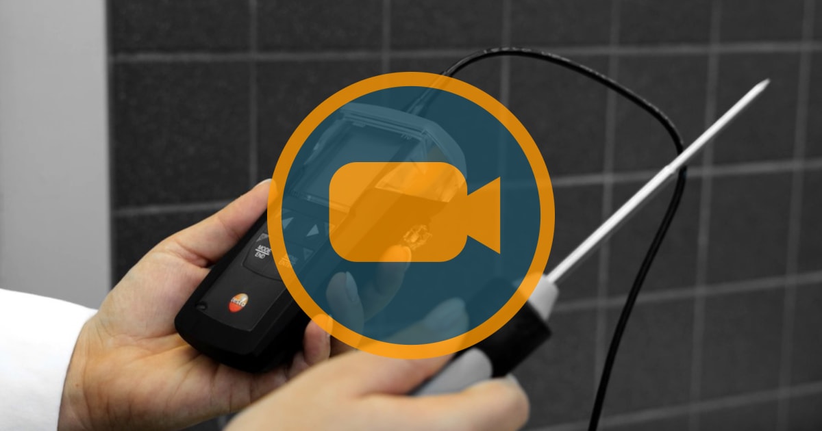 testo 110 - NTC and Pt100 temperature measuring instrument with App ...