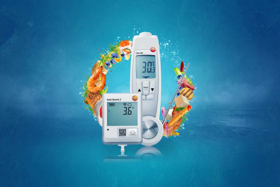 The most important measurement parameters for safe food