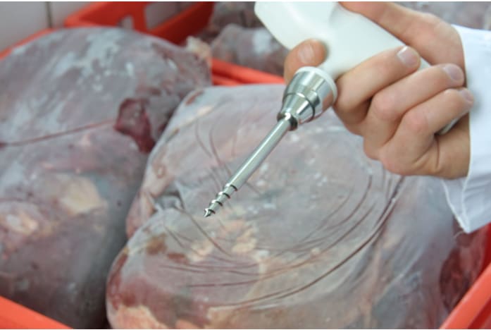 frozen meat thermometer